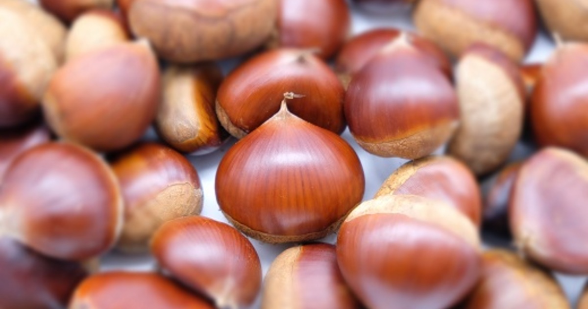 丹波くり 4L 1kg（京丹波町産丹波栗） | 店舗型ふるさと納税 ふるさとズ